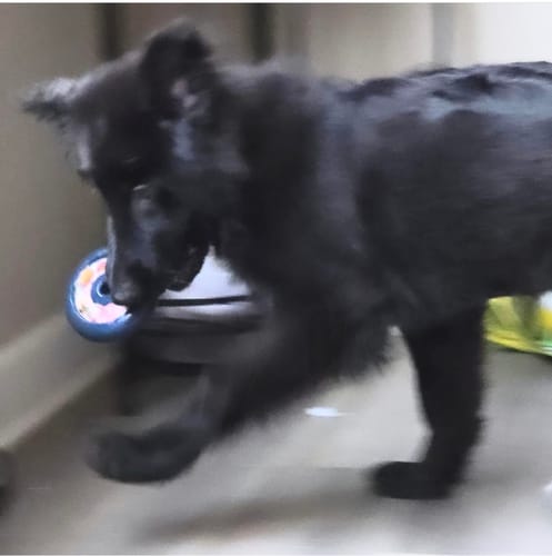 Freezbone Reviews - 2,003 Reviews | www.freezbone.com