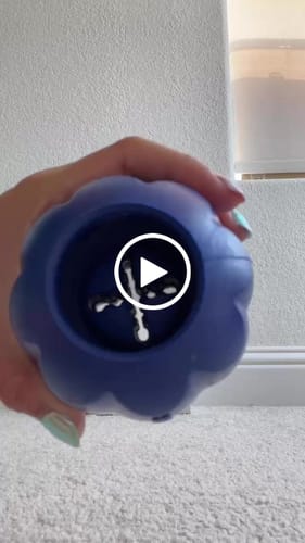 Schnuzzle Pty Ltd Reviews - 266 Reviews | schnuzzle.com