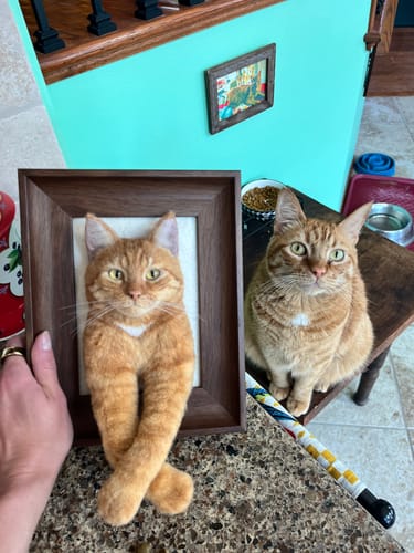 My Woolever Friend Reviews - 189 Reviews | mywooleverfriend.com