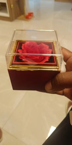 Be Loving Reviews - 13 Reviews | belovingco.com