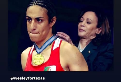 Nebroo Reviews - 37 Reviews | nebroo.com