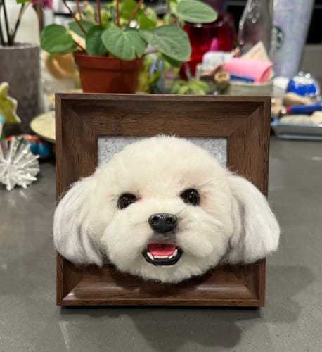 My Woolever Friend Reviews - 189 Reviews | mywooleverfriend.com