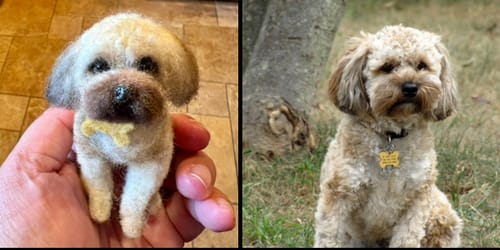 My Woolever Friend Reviews - 186 Reviews | mywooleverfriend.com