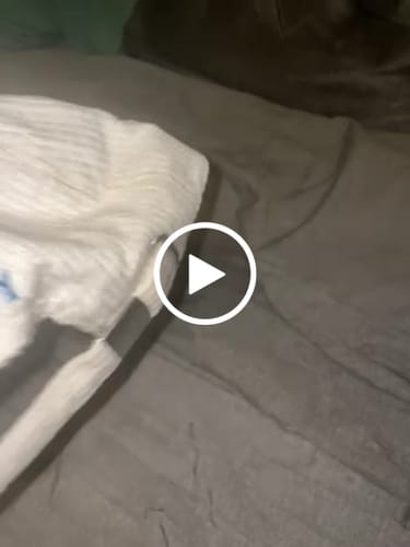 League Lids Reviews - 561 Reviews | leaguelids.com