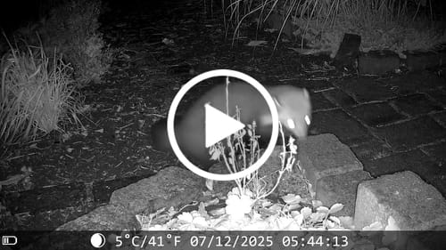 Beyerswerk Bewertungen - 334 Bewertungen | beyerswerk.de