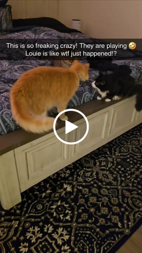 Doc Clemens Remedies Reviews - 236 Reviews | docclemens.com