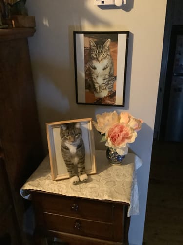 My Woolever Friend Reviews - 189 Reviews | mywooleverfriend.com