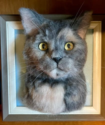 My Woolever Friend Reviews - 189 Reviews | mywooleverfriend.com