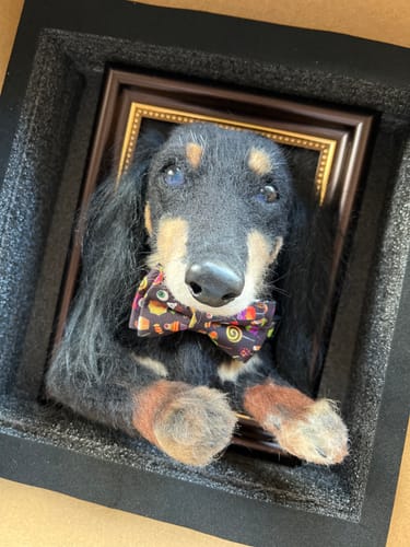 My Woolever Friend Reviews - 189 Reviews | mywooleverfriend.com