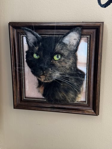 My Woolever Friend Reviews - 189 Reviews | mywooleverfriend.com