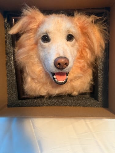 My Woolever Friend Reviews - 189 Reviews | mywooleverfriend.com