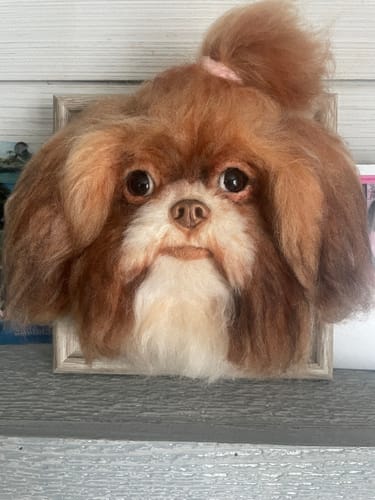 My Woolever Friend Reviews - 189 Reviews | mywooleverfriend.com