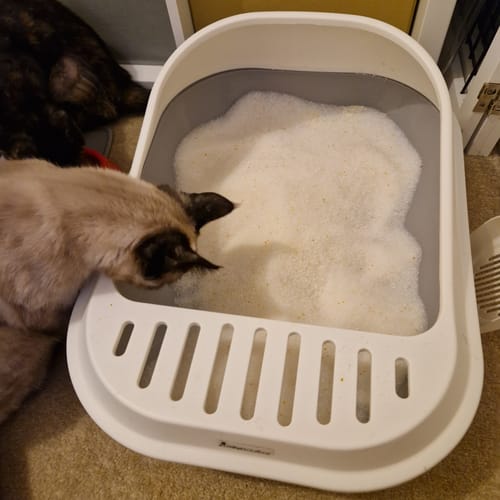 Fit Litter Reviews - 4,233 Reviews | fitlitter.co.uk