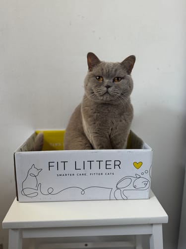 Fit Litter Reviews - 2,731 Reviews | fitlitter.co.uk
