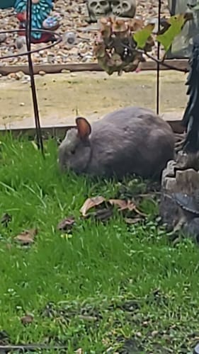 Hay Box Reviews - 12,915 Reviews | haybox.club