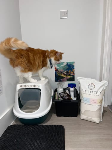 Fit Litter Reviews - 2,731 Reviews | fitlitter.co.uk