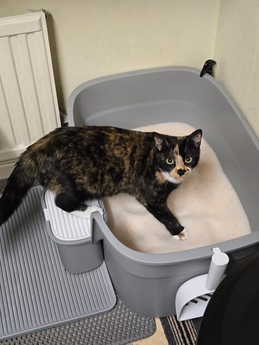 Fit Litter Reviews - 4,369 Reviews | fitlitter.co.uk