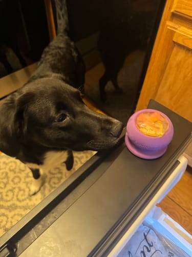 Freezbone Reviews - 2,046 Reviews | www.freezbone.com