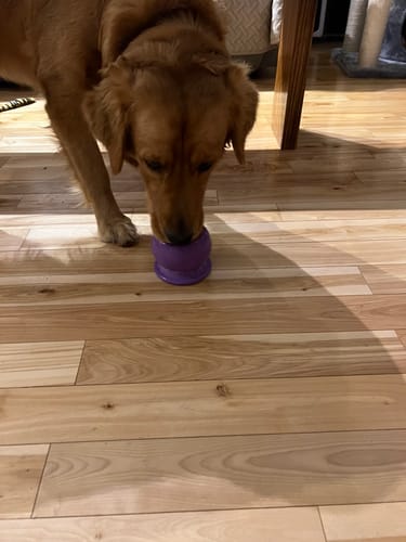 Freezbone Reviews - 2,003 Reviews | www.freezbone.com