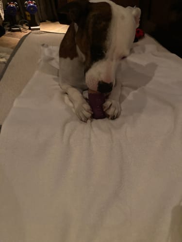 Freezbone Reviews - 2,071 Reviews | www.freezbone.com