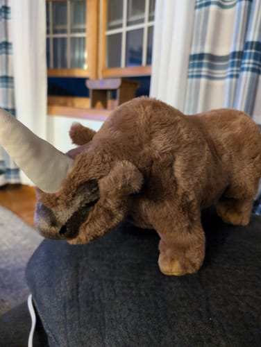 Gage Beasley Reviews - 925 Reviews | www.gagebeasleyshop.com