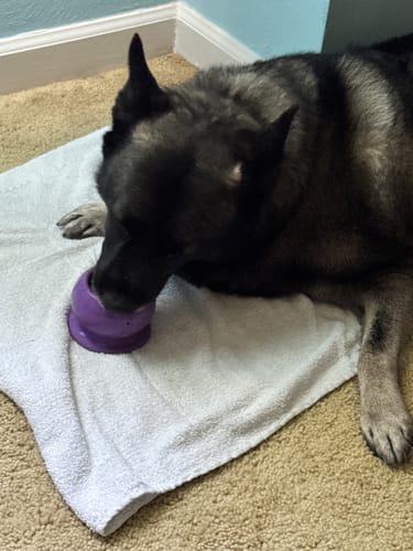 Freezbone Reviews - 2,046 Reviews | www.freezbone.com