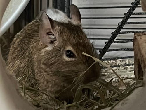 Hay Box Reviews - 12,915 Reviews | haybox.club