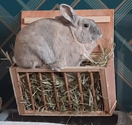 Hay Box Reviews - 12,915 Reviews | haybox.club