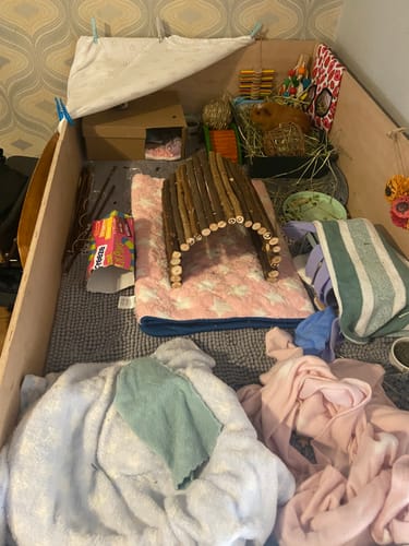 Hay Box Reviews - 12,915 Reviews | haybox.club