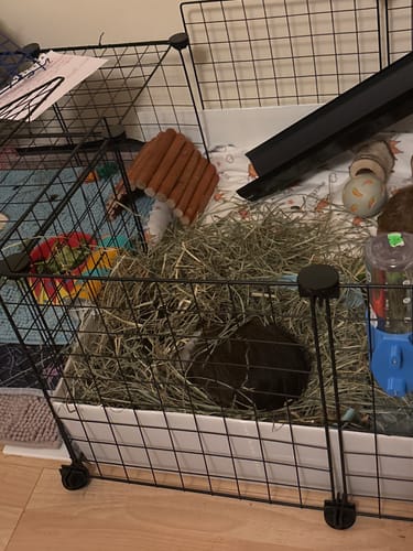 Hay Box Reviews - 13,052 Reviews | haybox.club