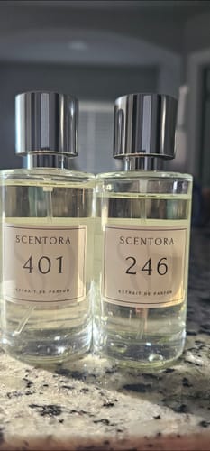 Scentora Reviews - 314 Reviews | scentora-fragrance.com