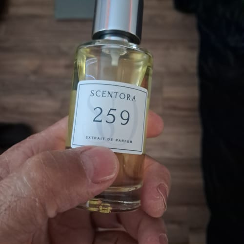 Scentora Reviews - 726 Reviews | scentora-fragrance.com