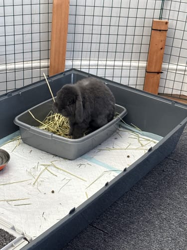 Hay Box Reviews - 13,052 Reviews | haybox.club